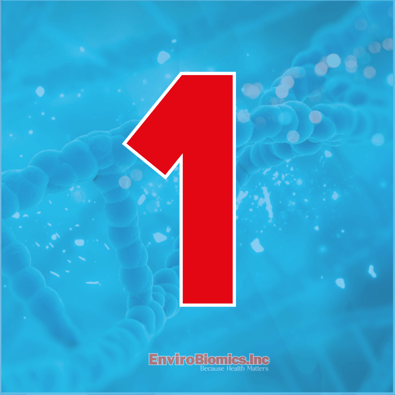 ERMI Envirobiomics Home Mold Test Kit | Chi Rho Chiropractic